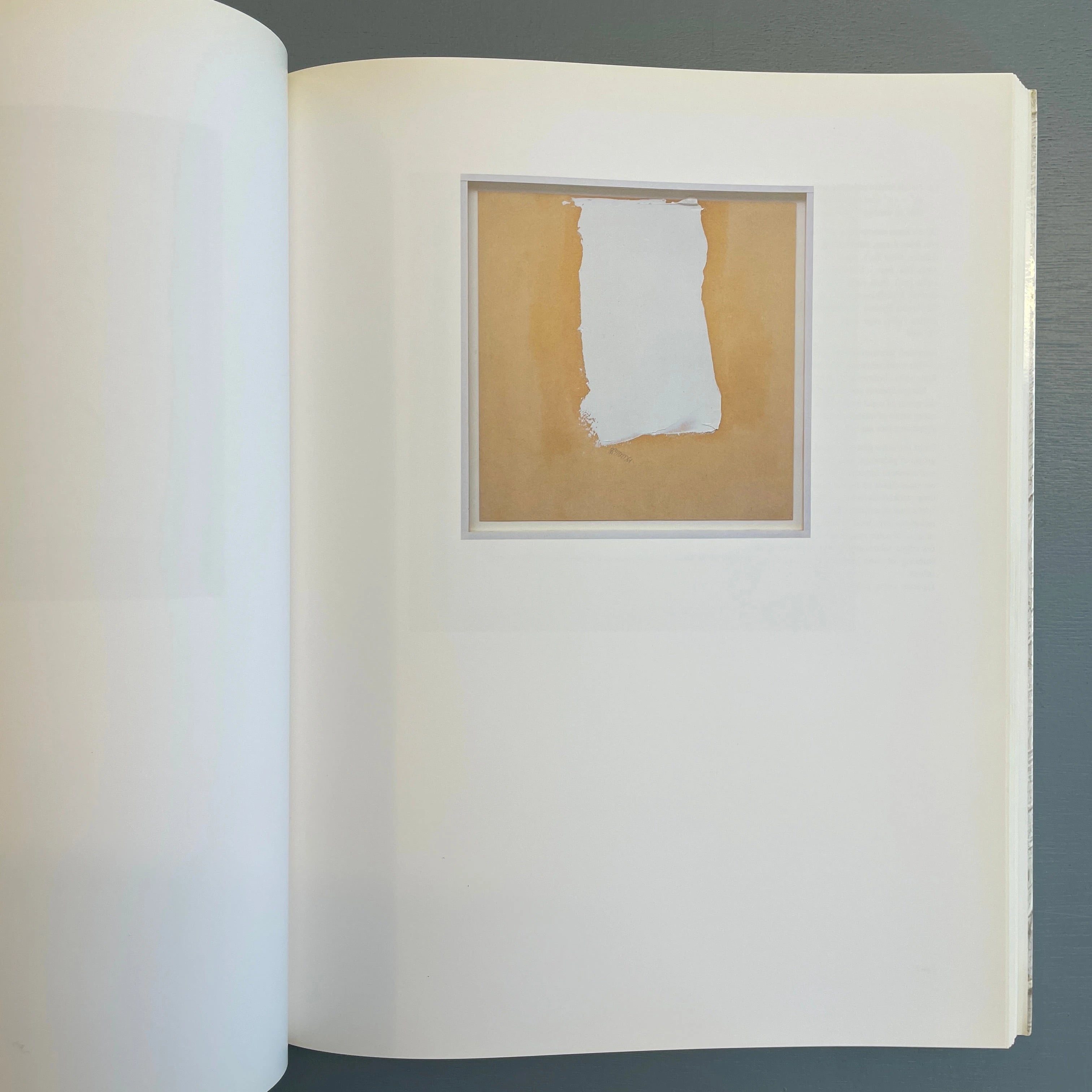 Robert Ryman - Tate Gallery 1993 - Saint-Martin Bookshop