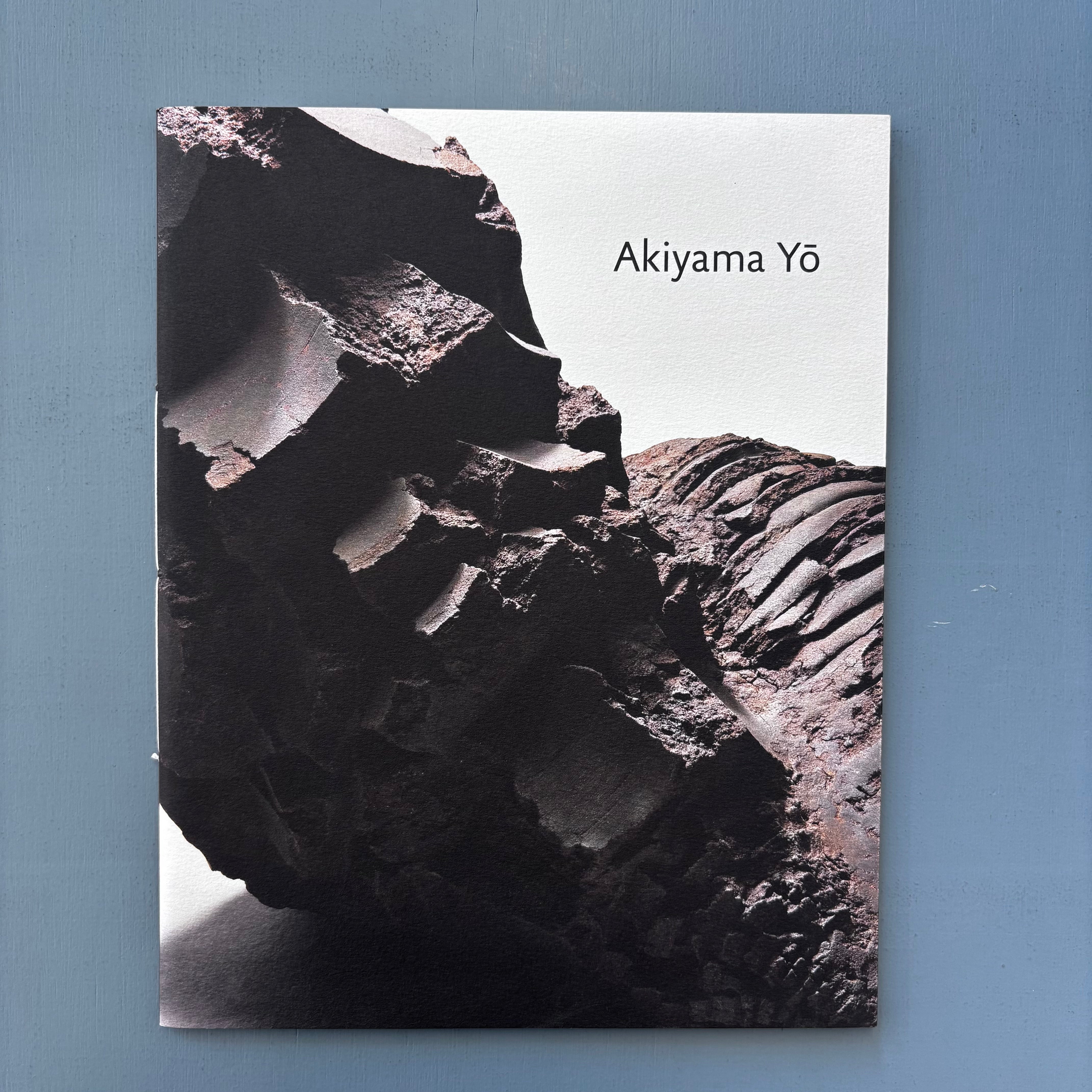 Akiyama Yō - Pierre-Marie Giraud 2010 - Saint-Martin Bookshop