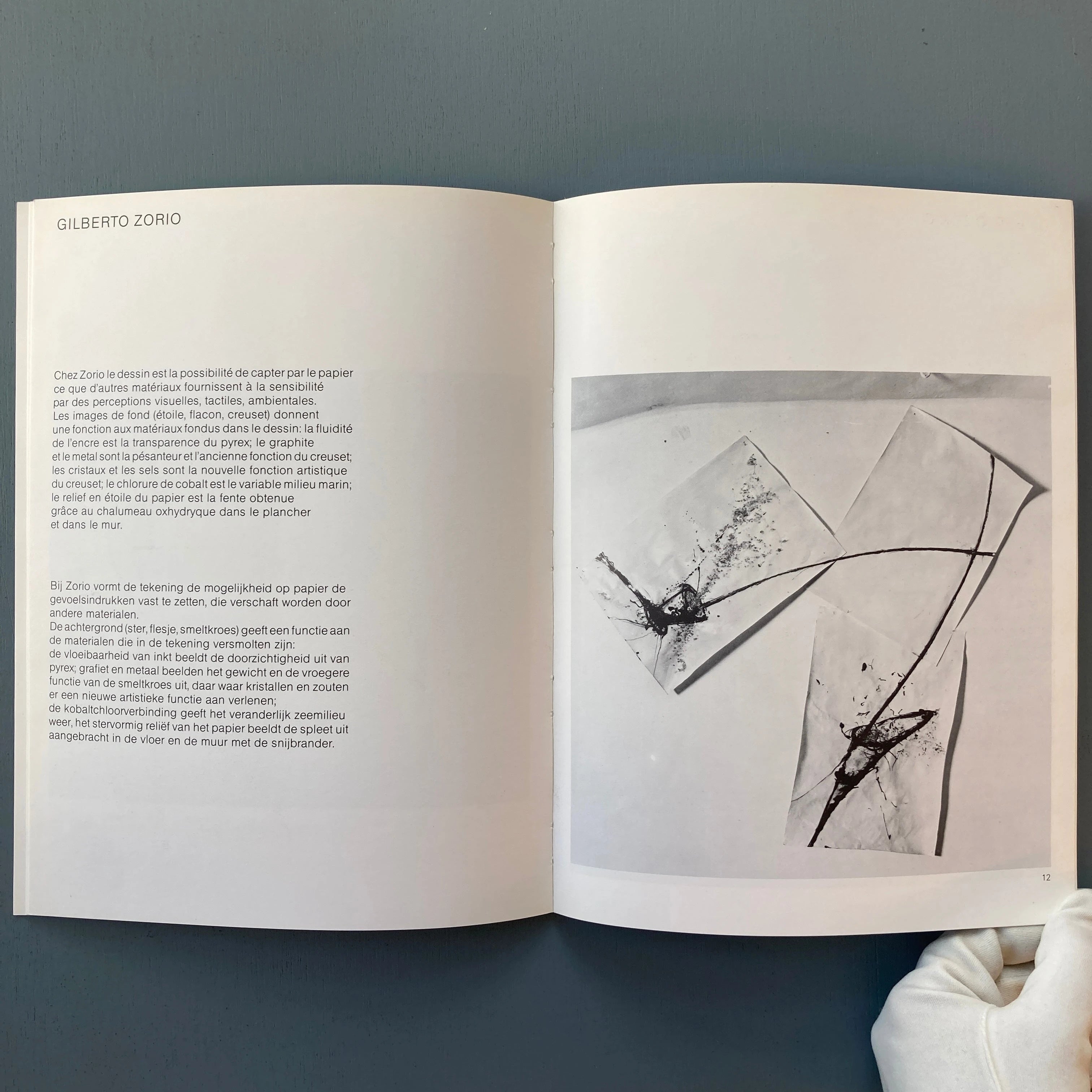 Beatrice Merz - il disegno in dialogo con la terra - Saint-Martin Bookshop