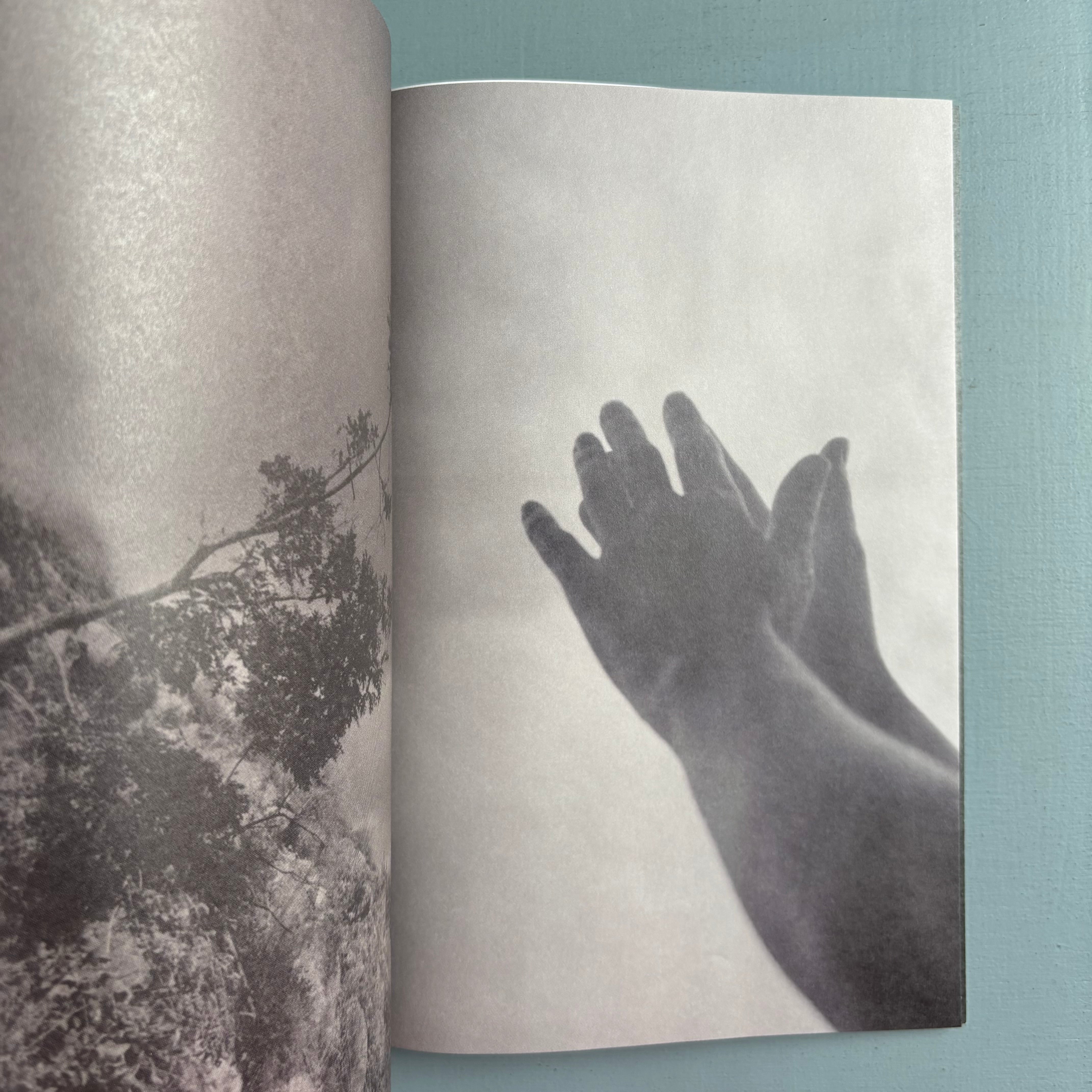 Elizabeth Alderliesten - Remember who you once were - Self-published ...