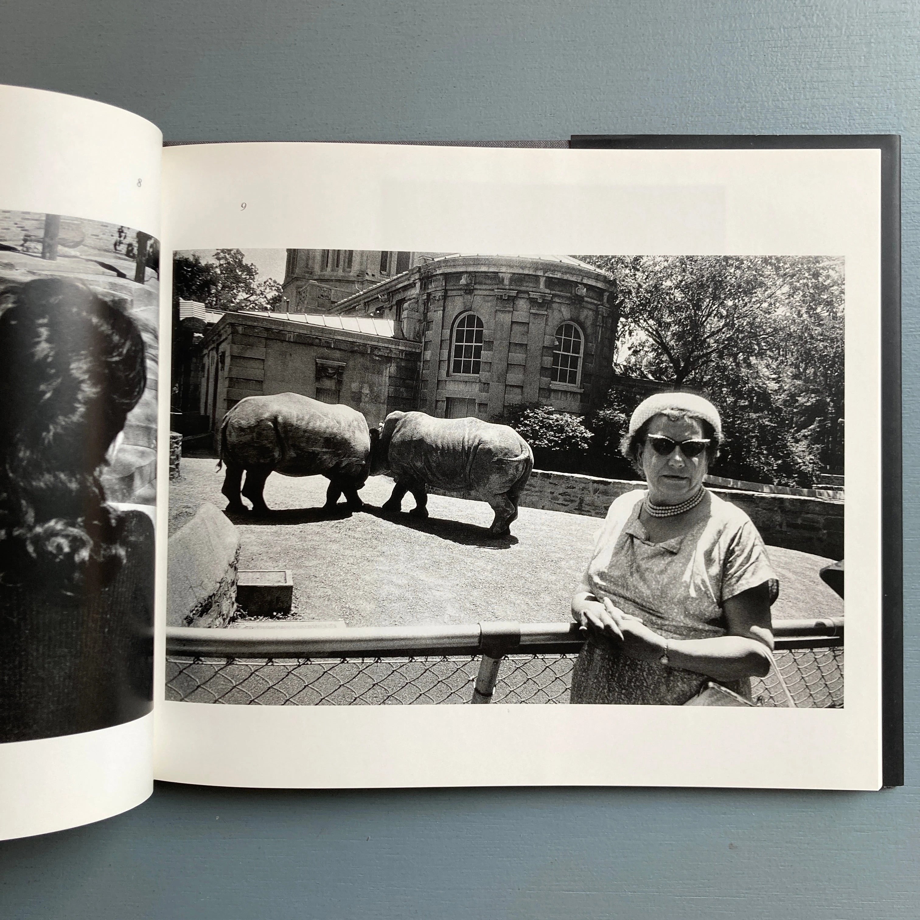Garry Winogrand - The Animals - The Museum of Modern - Saint-Martin ...