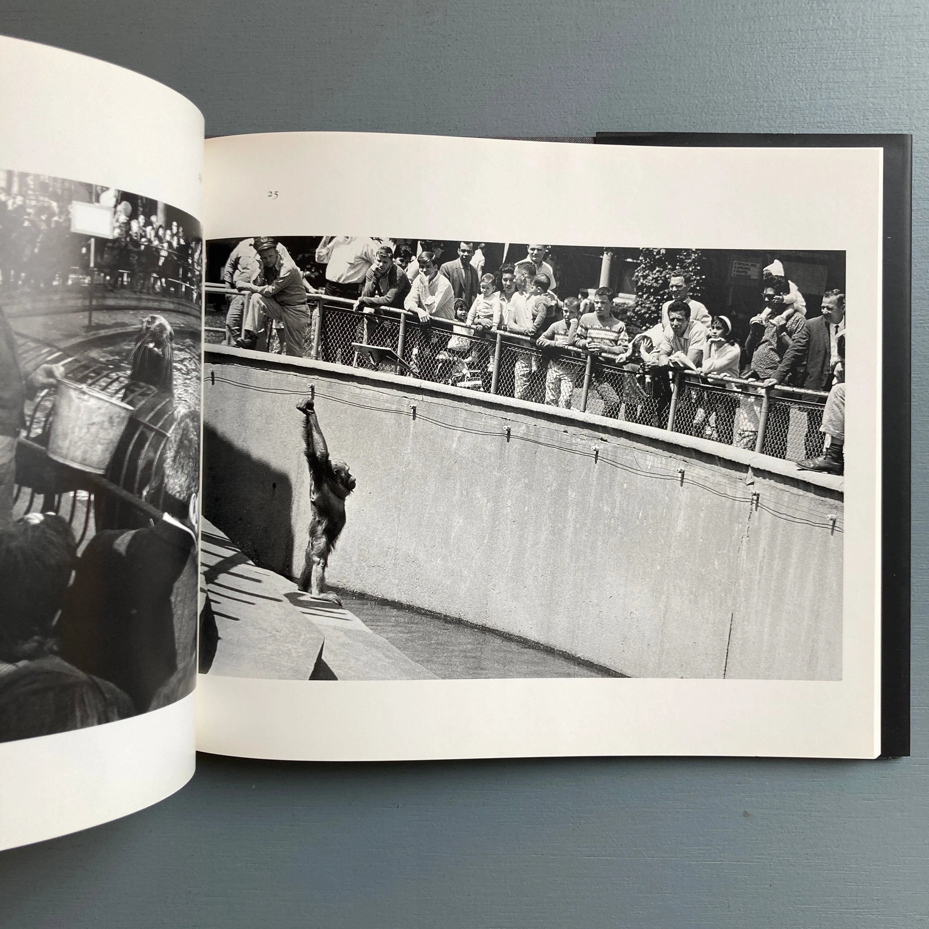 Garry Winogrand - The Animals - The Museum of Modern - Saint-Martin ...