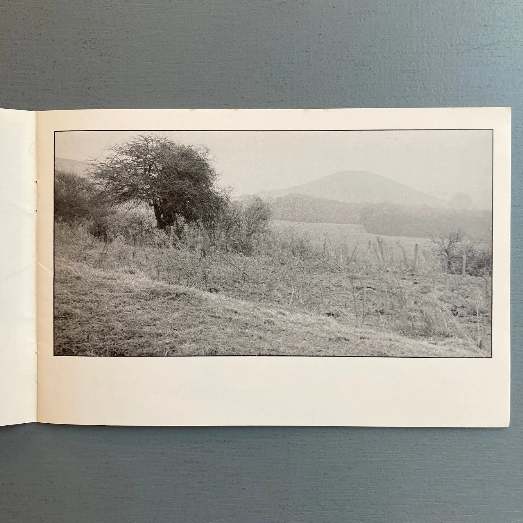 Hamish Fulton - 10 views of Brockmans Mount - Stedelijk - Saint-Martin ...
