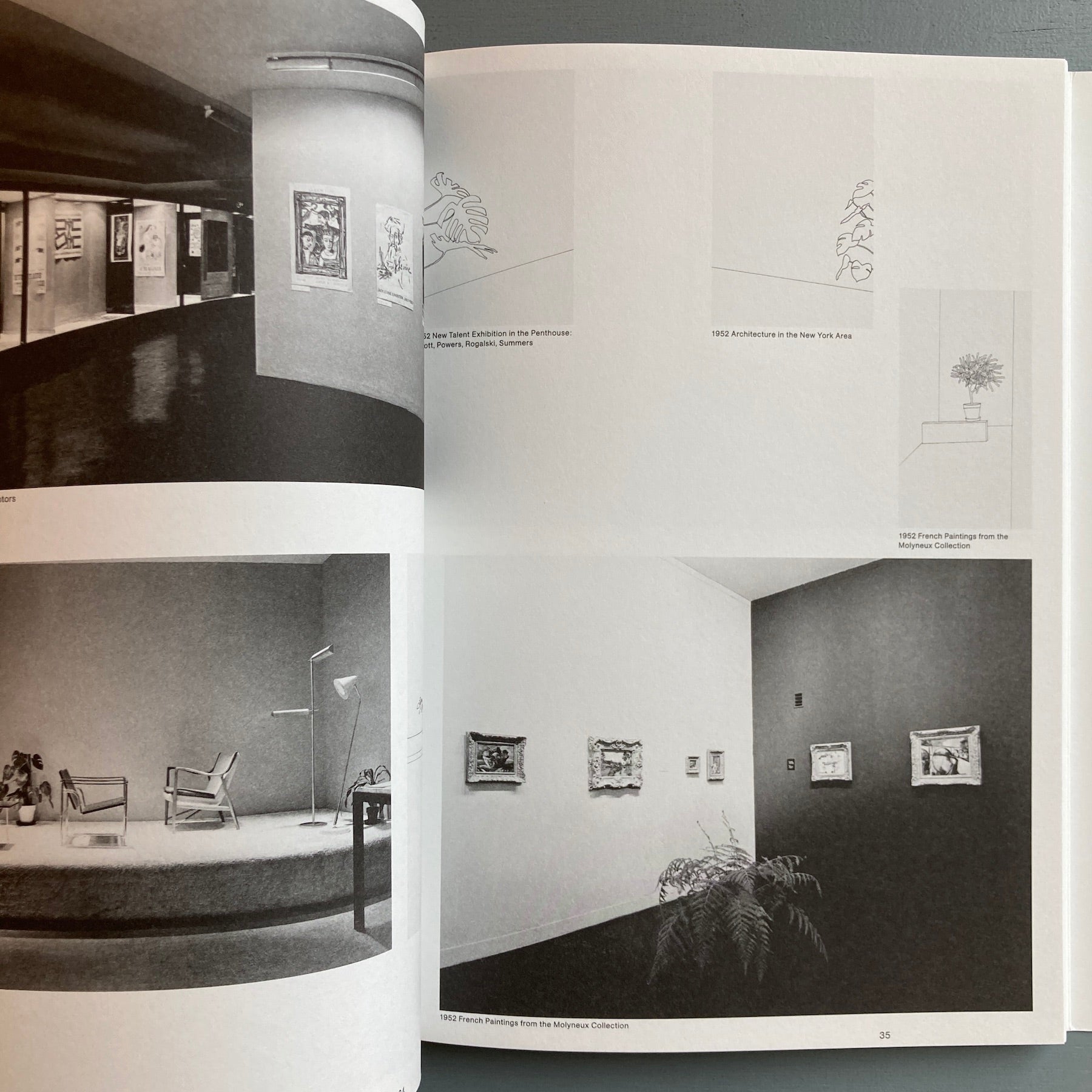 Inge Meijer - The MoMA Plant Collection - Roma 2024 - Saint-Martin Bookshop