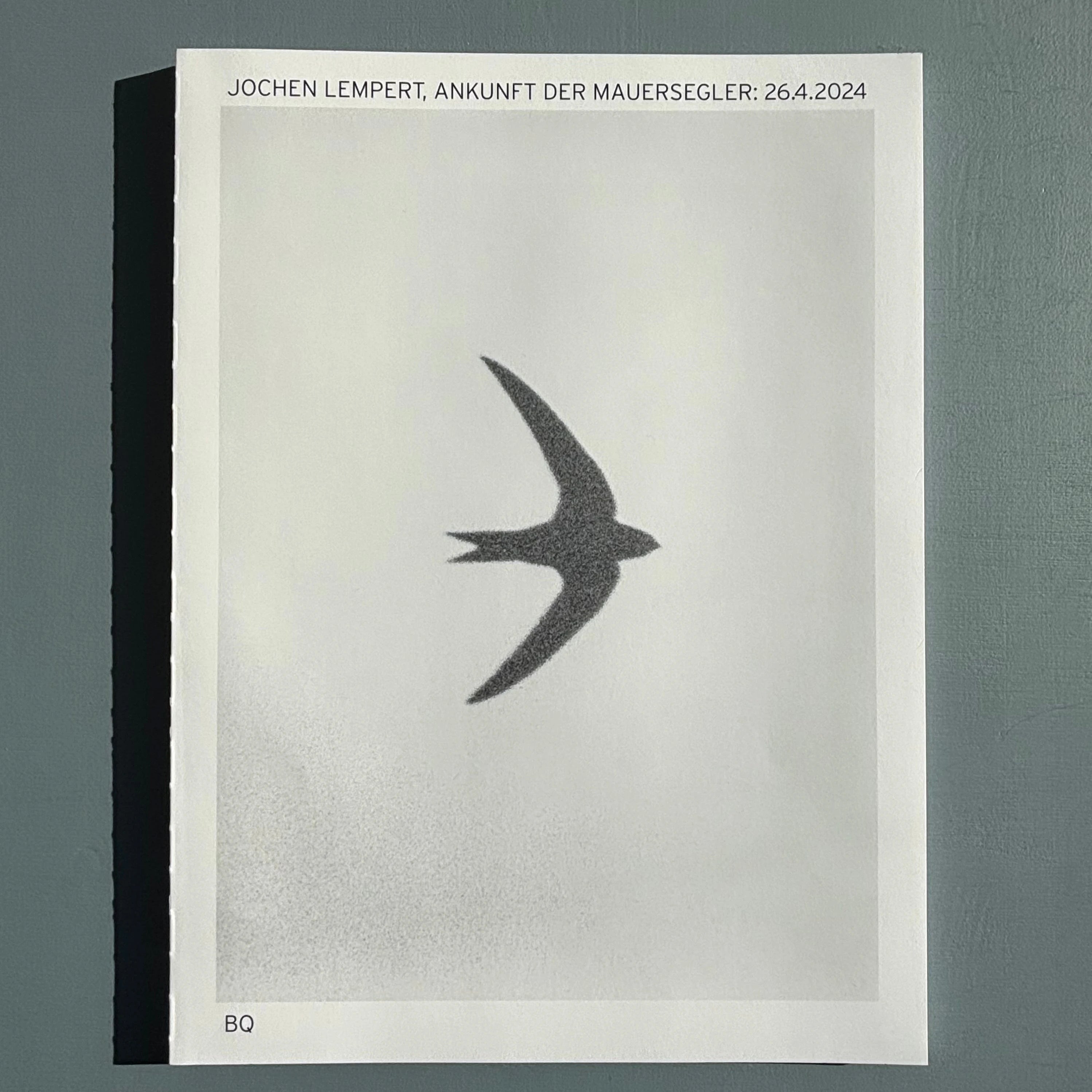 Jochen Lempert - Ankunft der Mauersegler: 26.4.2024 - BQ 2024 - Saint ...