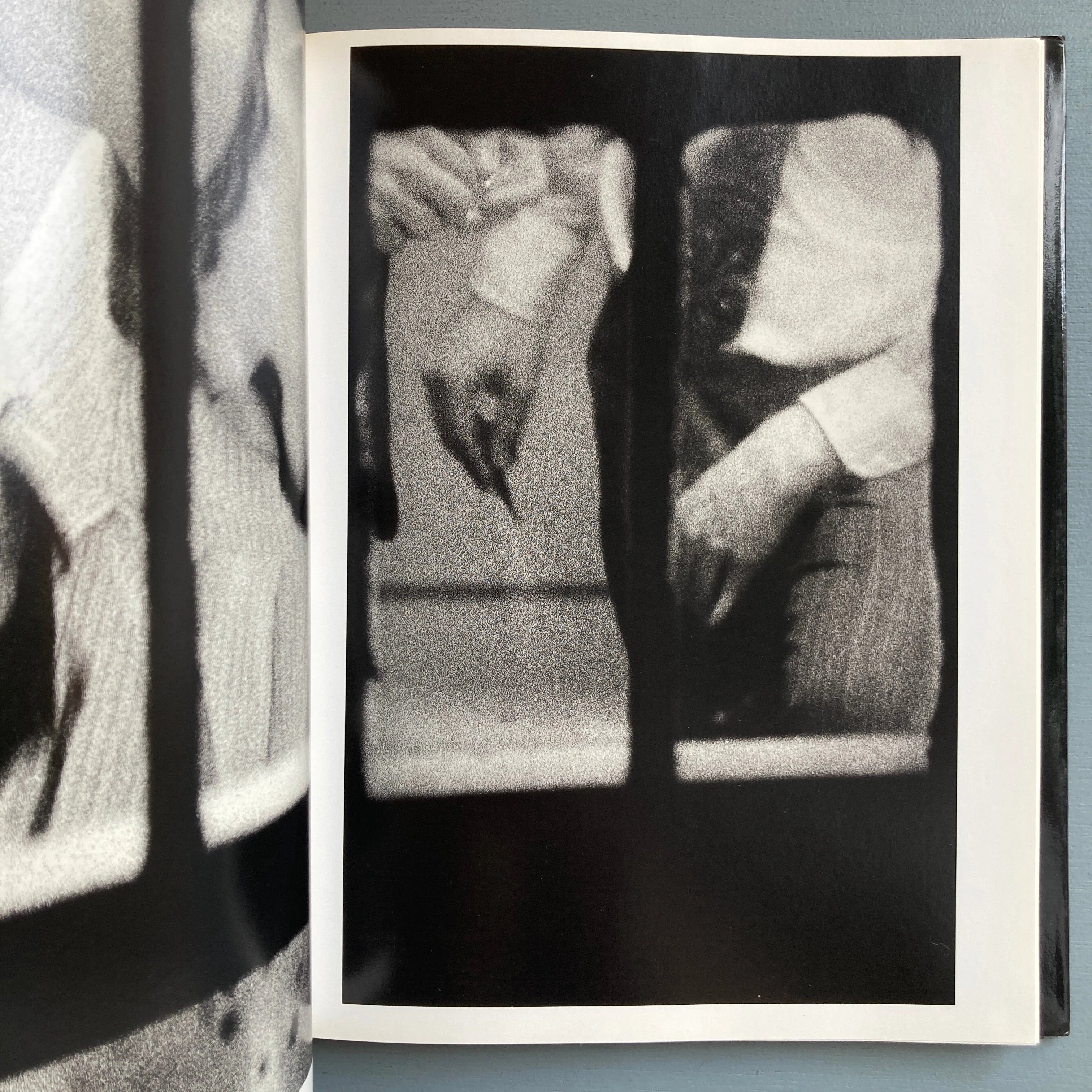 Merry Alpern - Dirty Windows - SCALO 1995 - Saint-Martin Bookshop