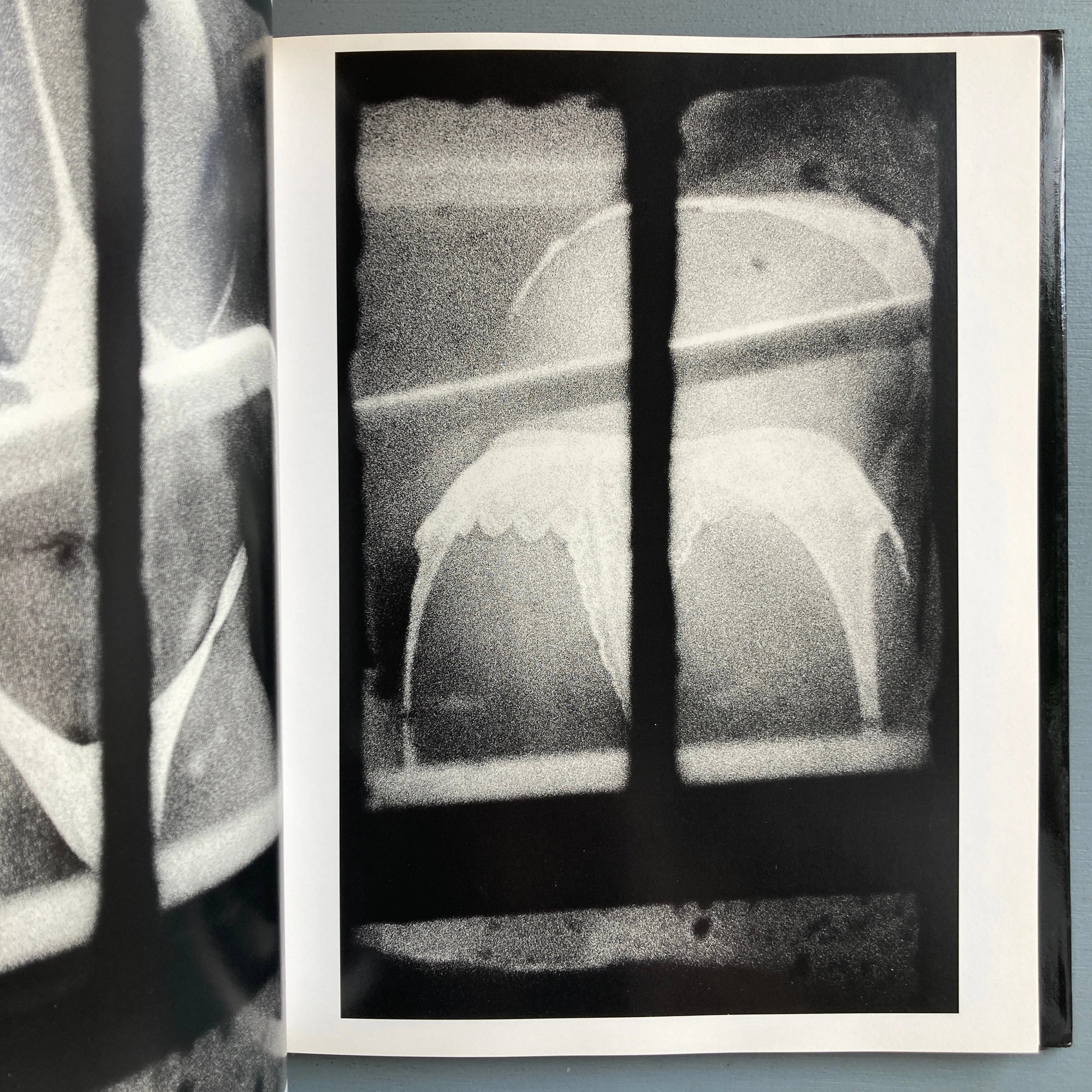 Merry Alpern - Dirty Windows - SCALO 1995 - Saint-Martin Bookshop