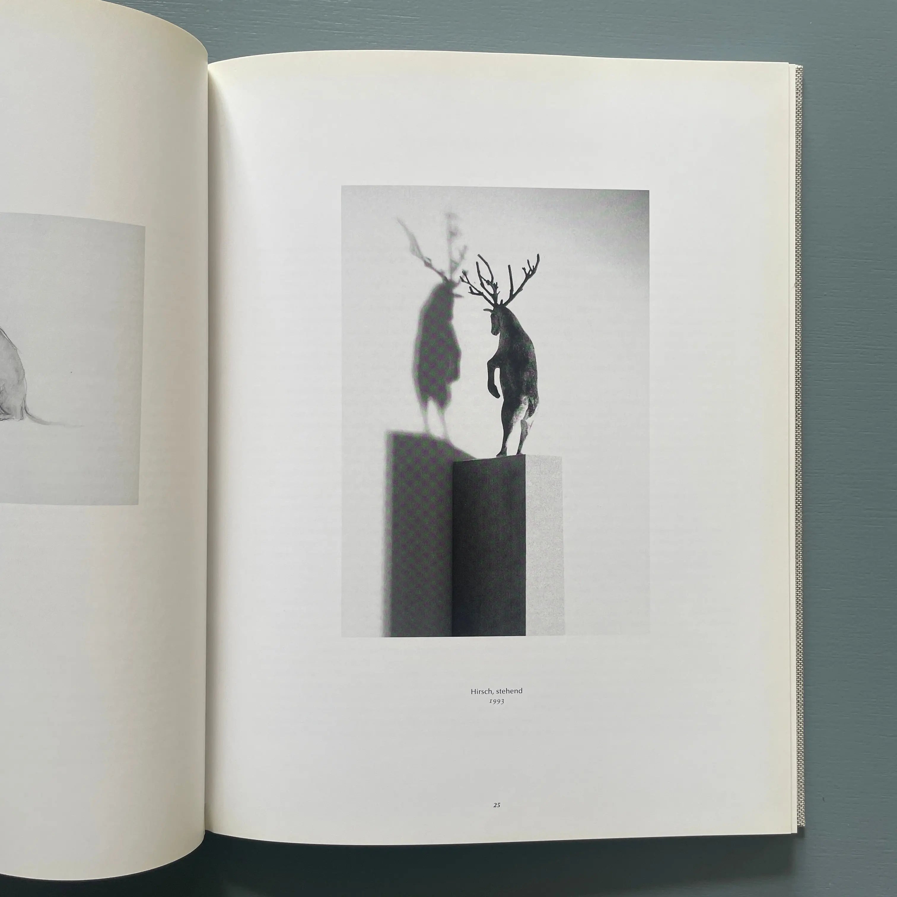 Paloma Varga Weisz - Revolver books 2004 - Saint-Martin Bookshop