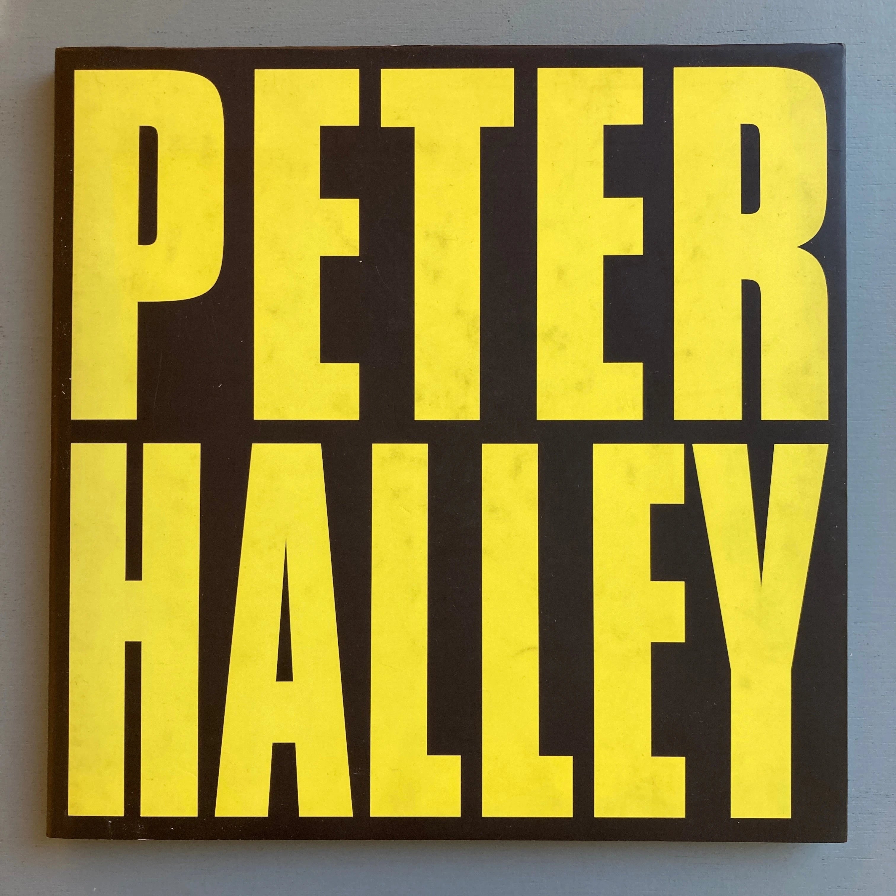Peter Halley - Since 2000 (+DVD) - Musée d'Art Moderne - Saint-Martin ...