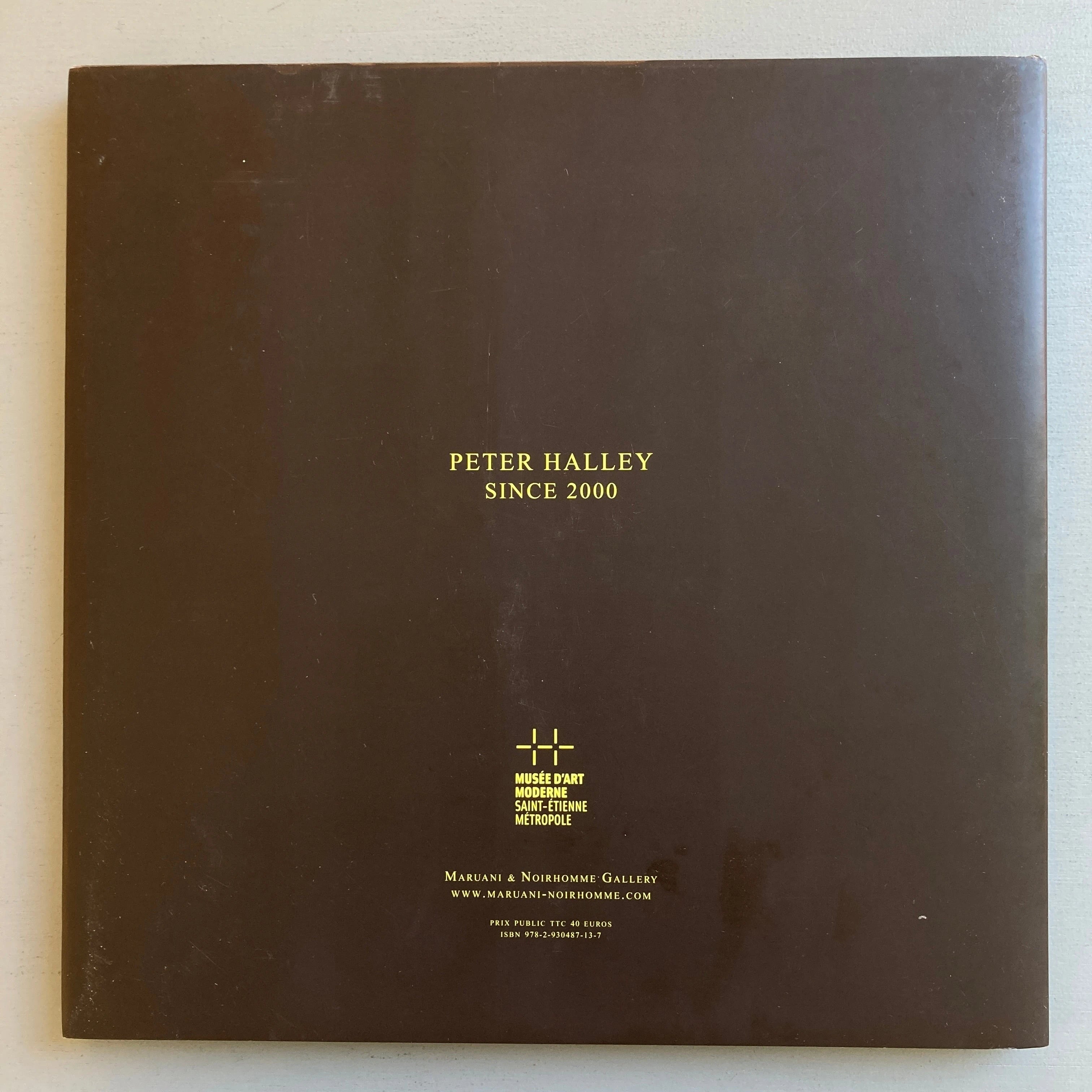 Peter Halley - Since 2000 (+DVD) - Musée d'Art Moderne - Saint-Martin ...