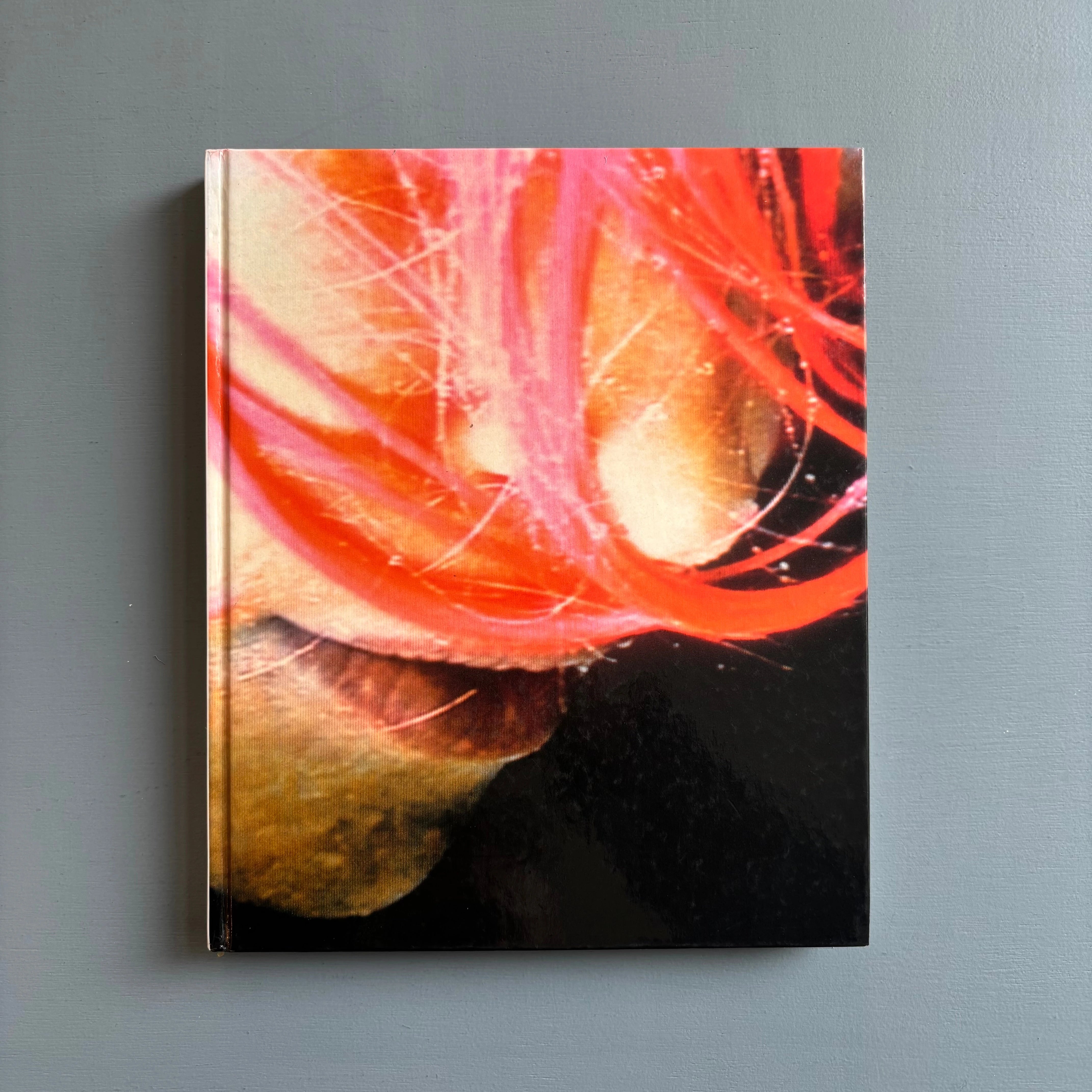 Pipilotti Rist - Himalaya 50 kg - Oktagon 1998 - Saint-Martin Bookshop