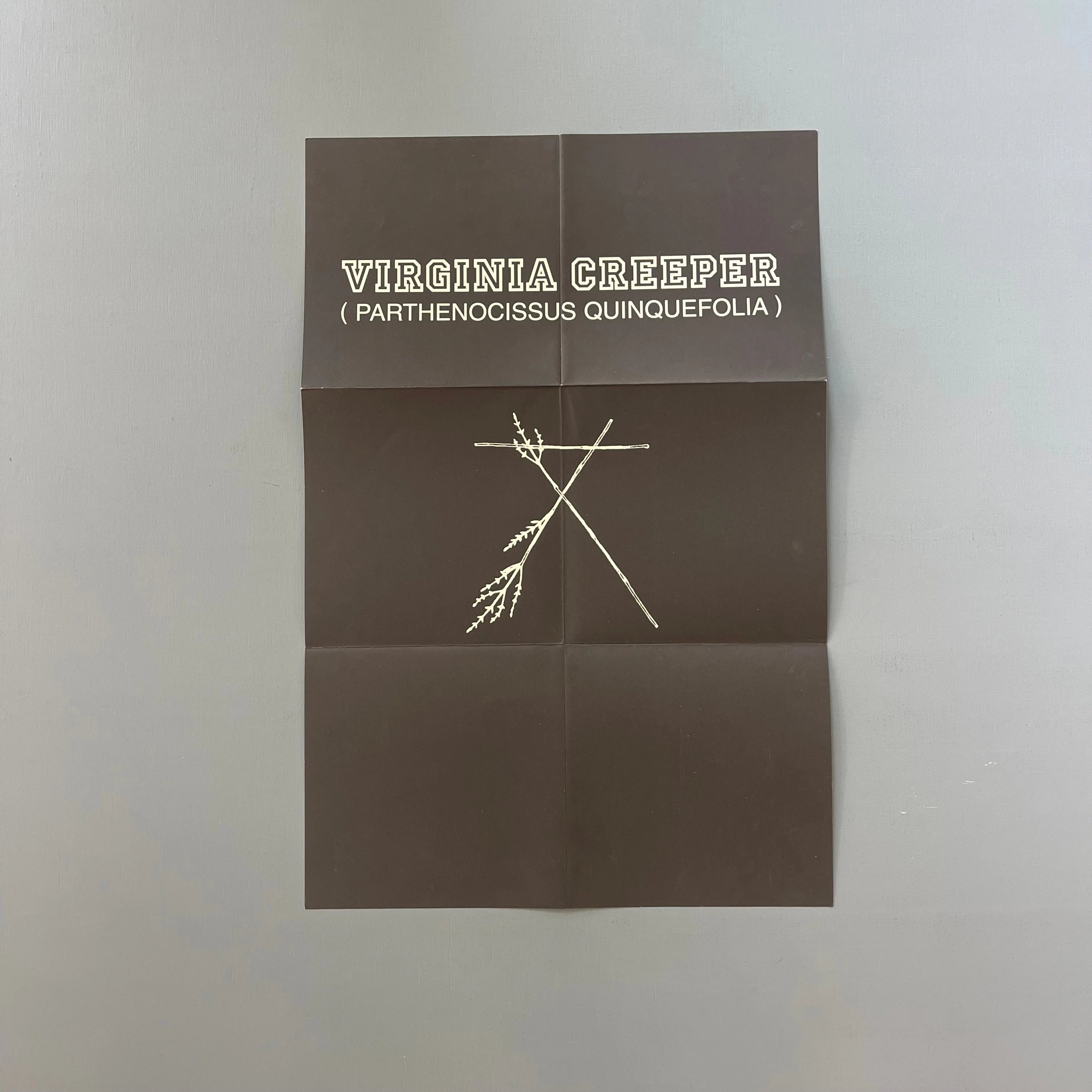 Raf Simons - Virginia Creeper lookbook - Autumns/Winter 2002-2003 ...