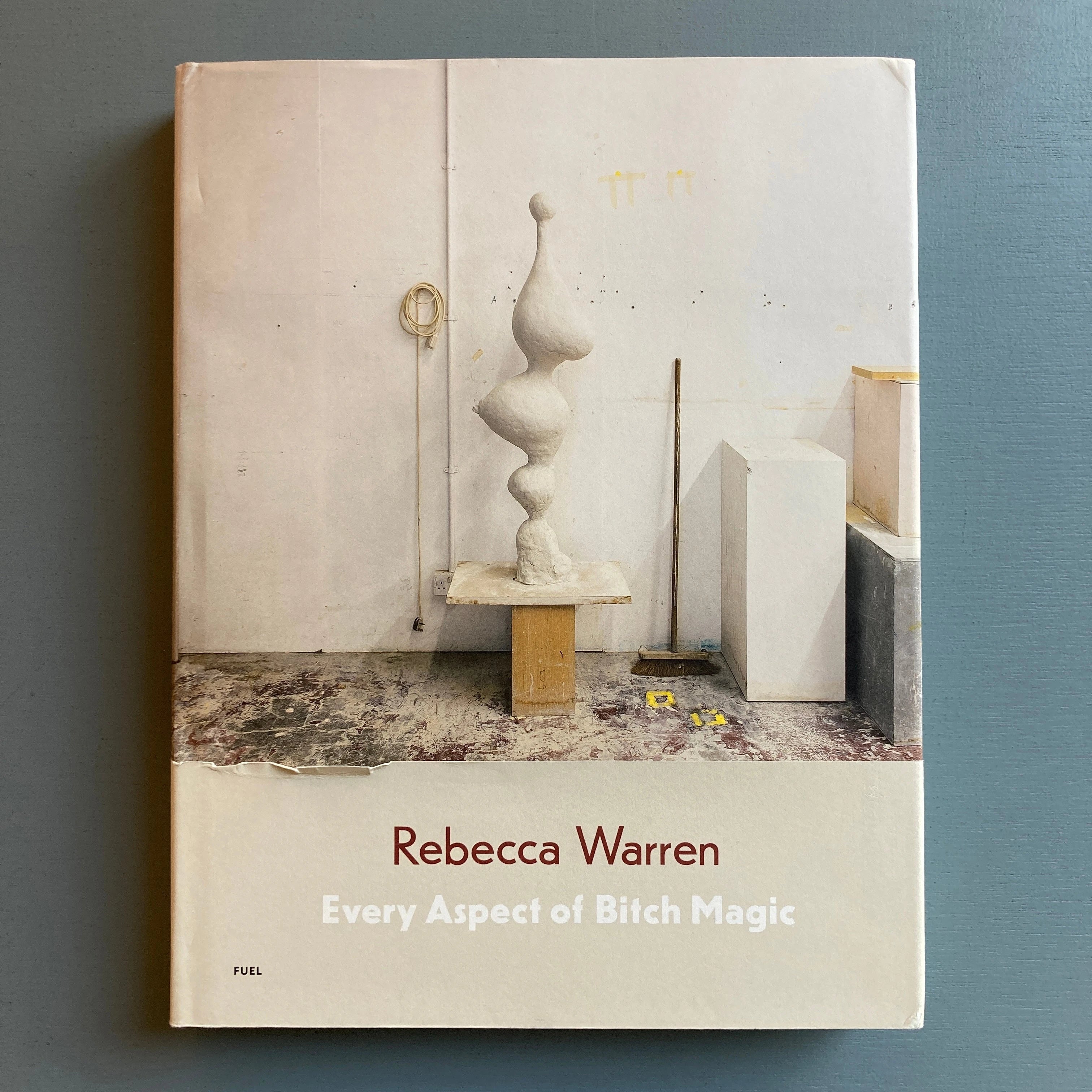 Rebecca Warren - Every aspect of Bitch Magic - Fuel 2012 - Saint-Martin ...