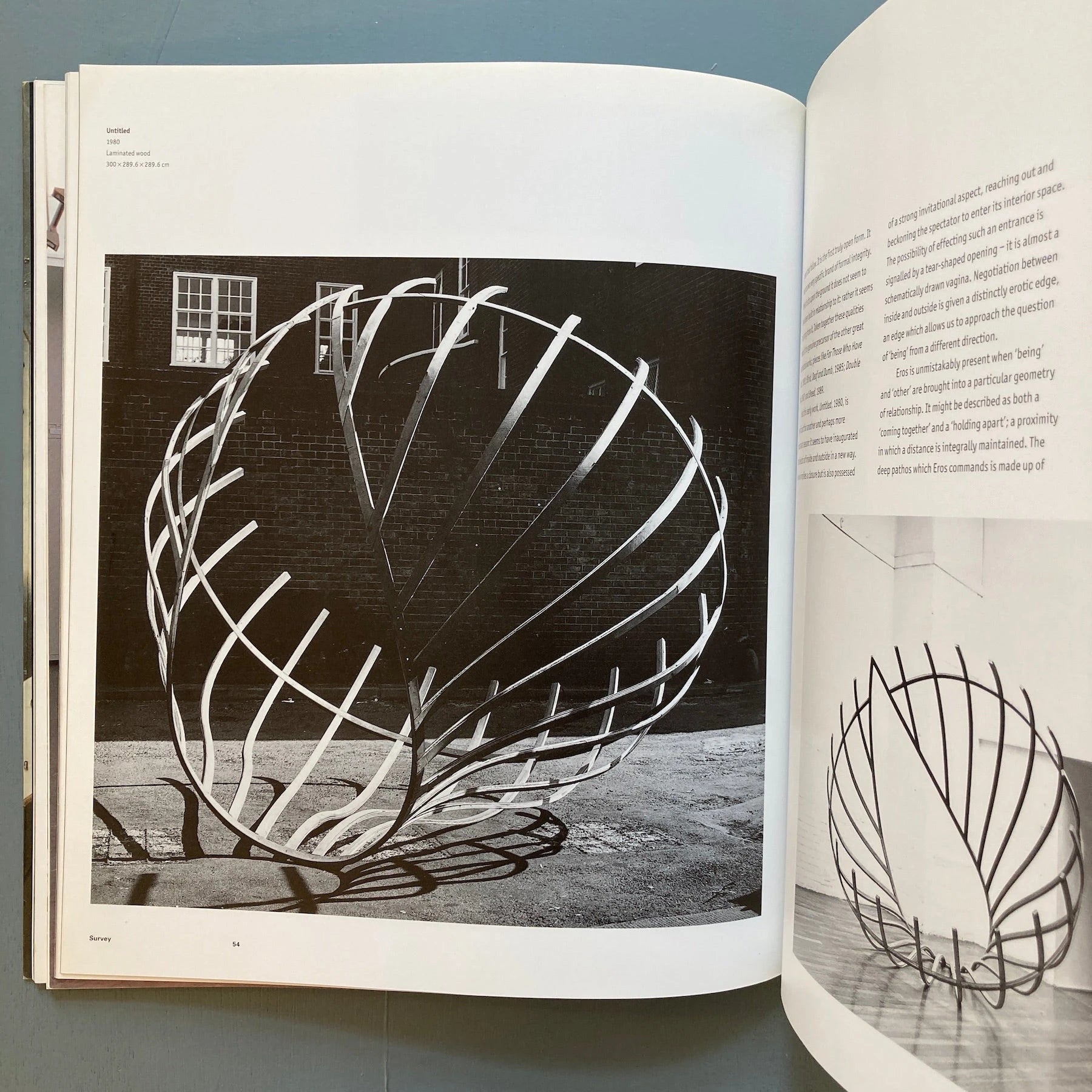 Richard Deacon - Phaidon 1990 - Saint-Martin Bookshop