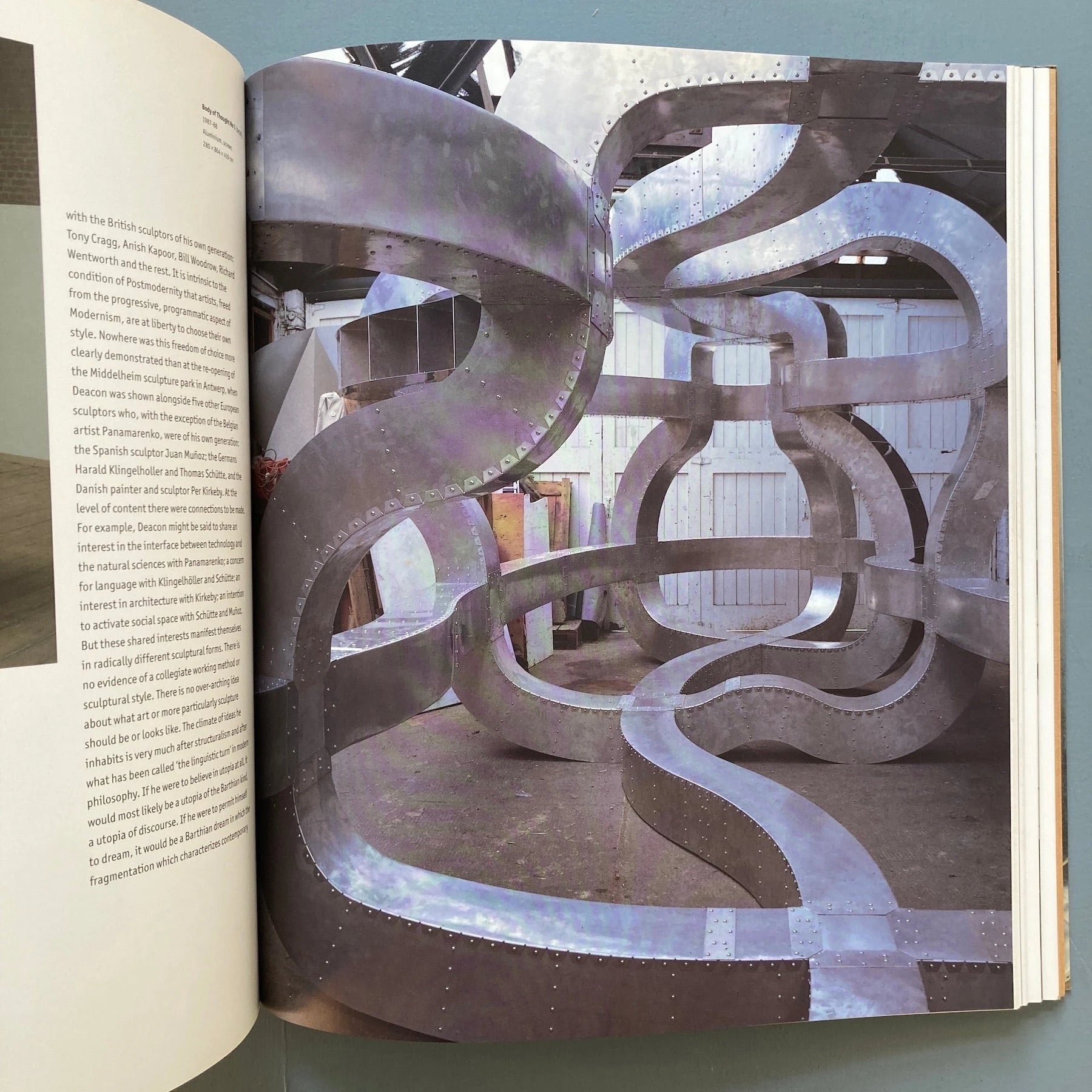 Richard Deacon - Phaidon 1990 - Saint-Martin Bookshop