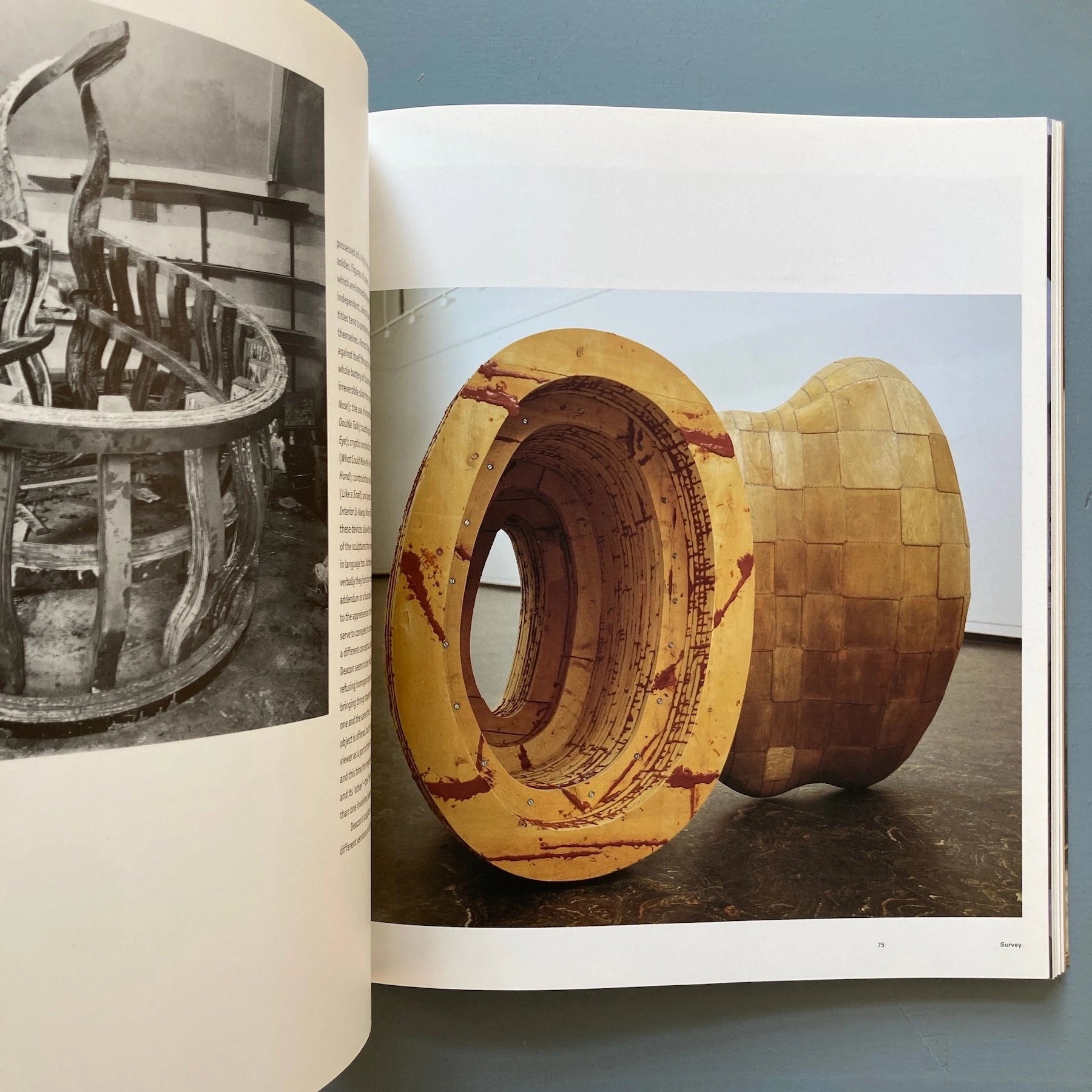 Richard Deacon - Phaidon 1990 - Saint-Martin Bookshop