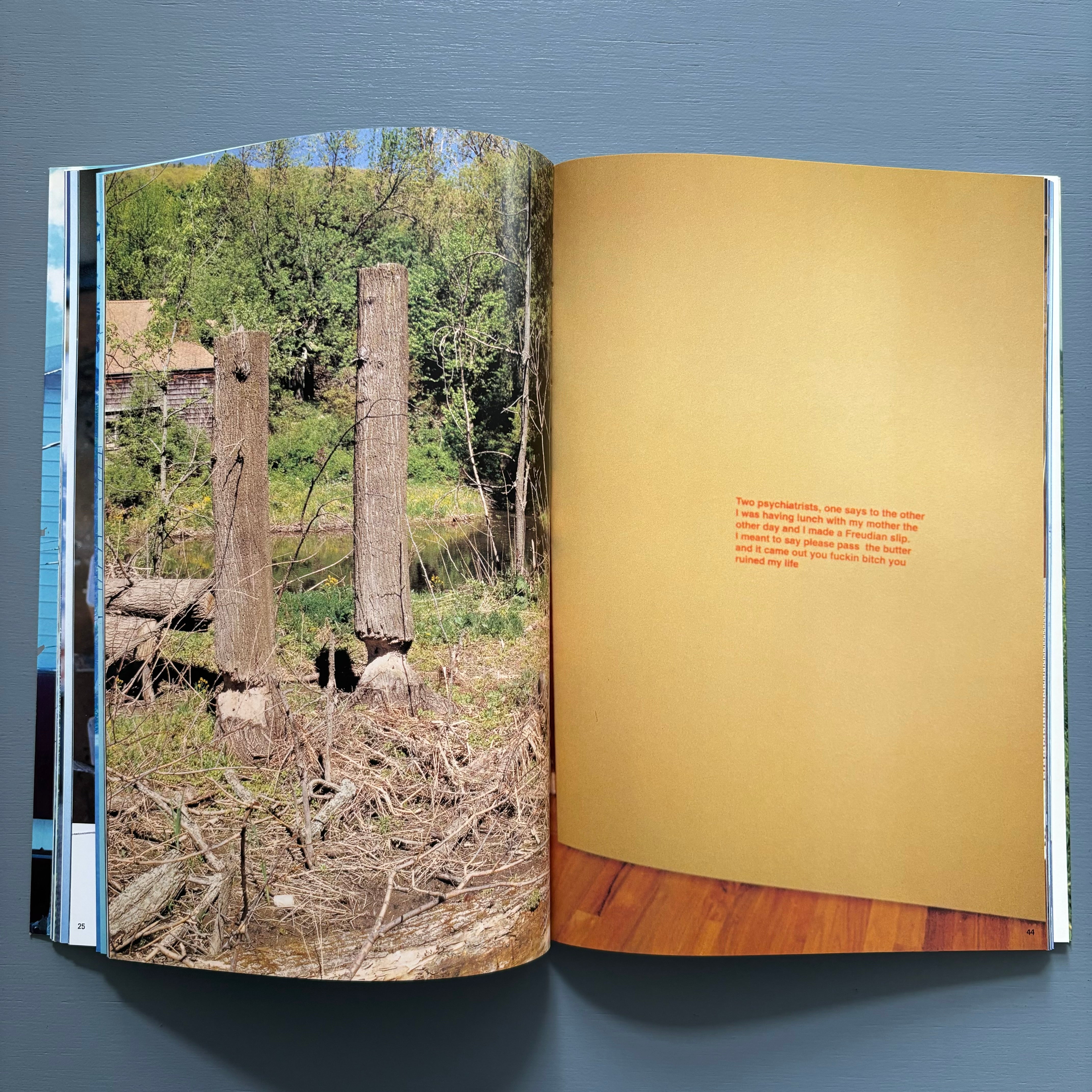 Richard Prince - 4X4 - PowerHouse Books 1997 - Saint-Martin Bookshop