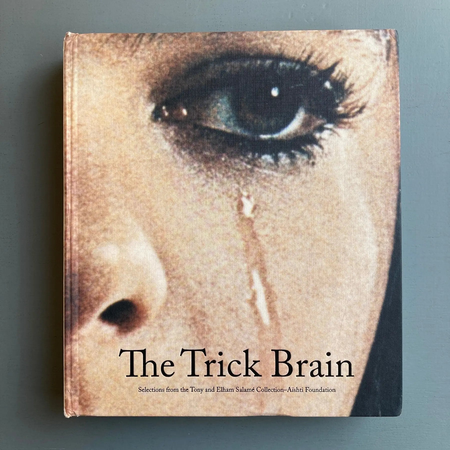 The Trick Brain - - Saint-Martin Bookshop