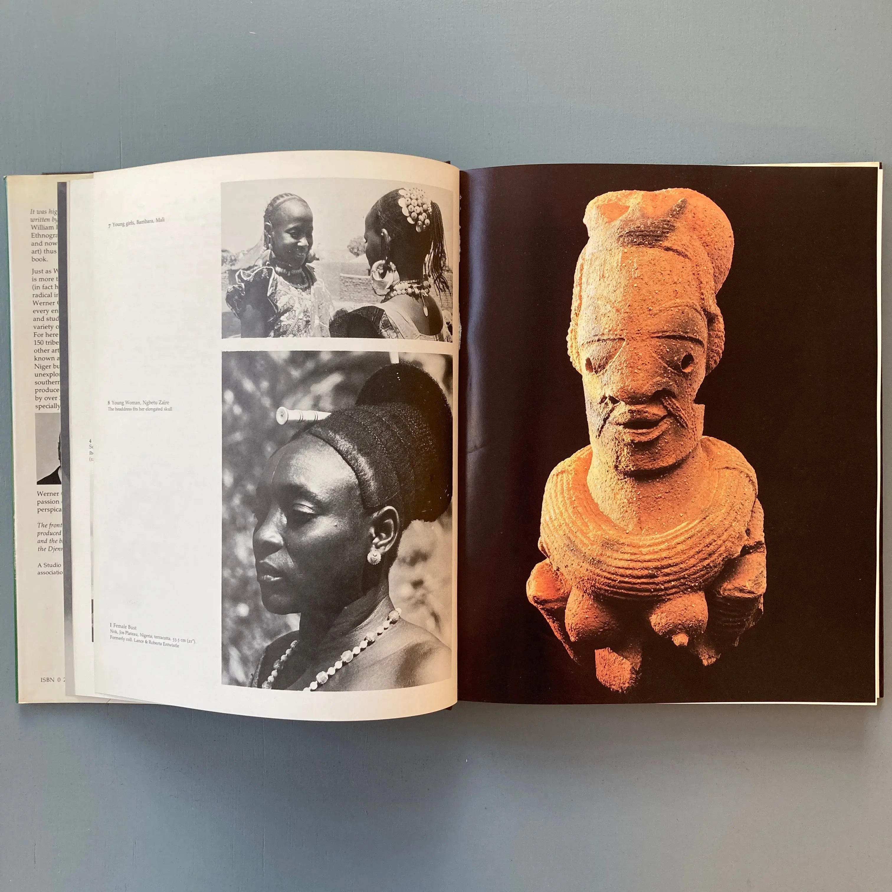 Werner Gillon - Collecting African Art - Studio Vista - Saint-Martin ...