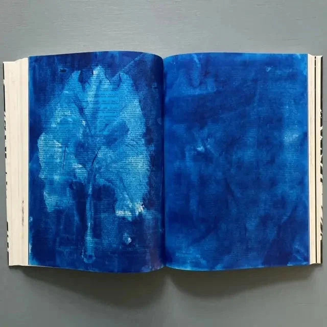 William Kentridge - Waiting for the Sibyl - Koenig Books 2020 - Saint ...