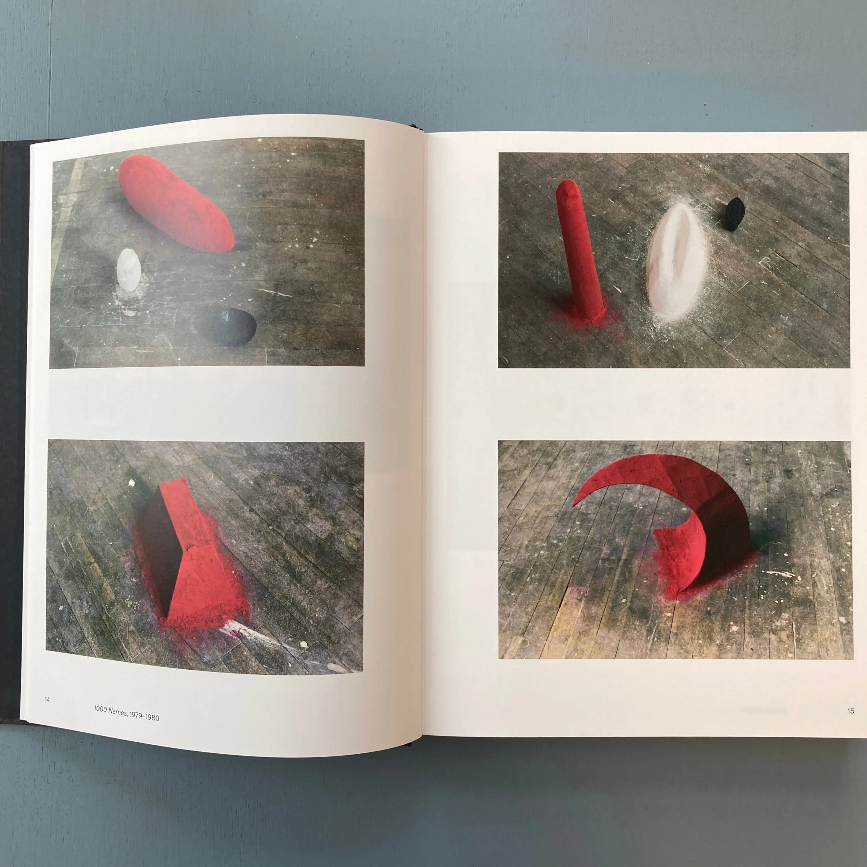 Anish Kapoor - Gallerie dell'Accademia di Venezia – Saint-Martin Bookshop
