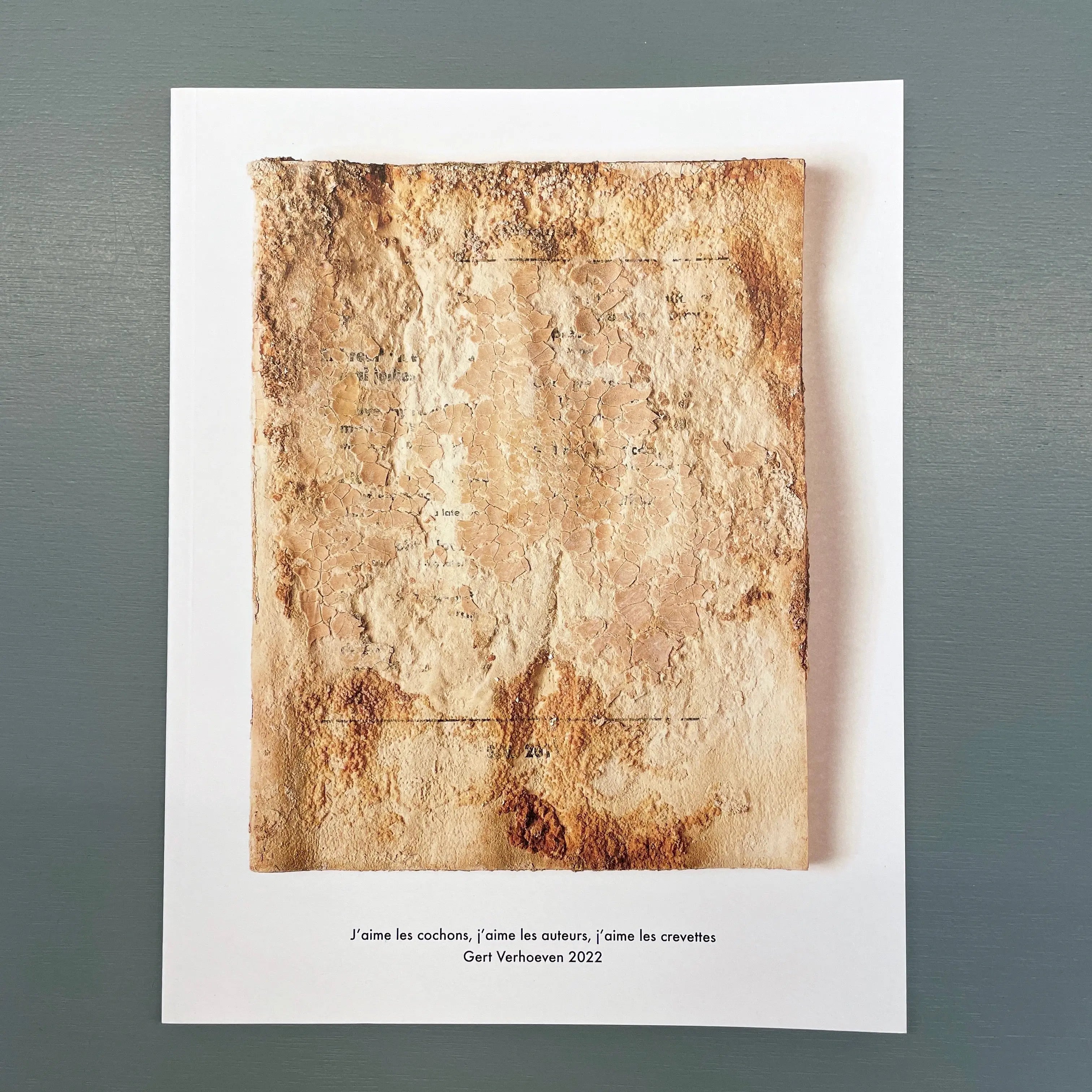 Gert Verhoeven - J'aime les cochons, j'aime les auteurs, - Saint-Martin ...