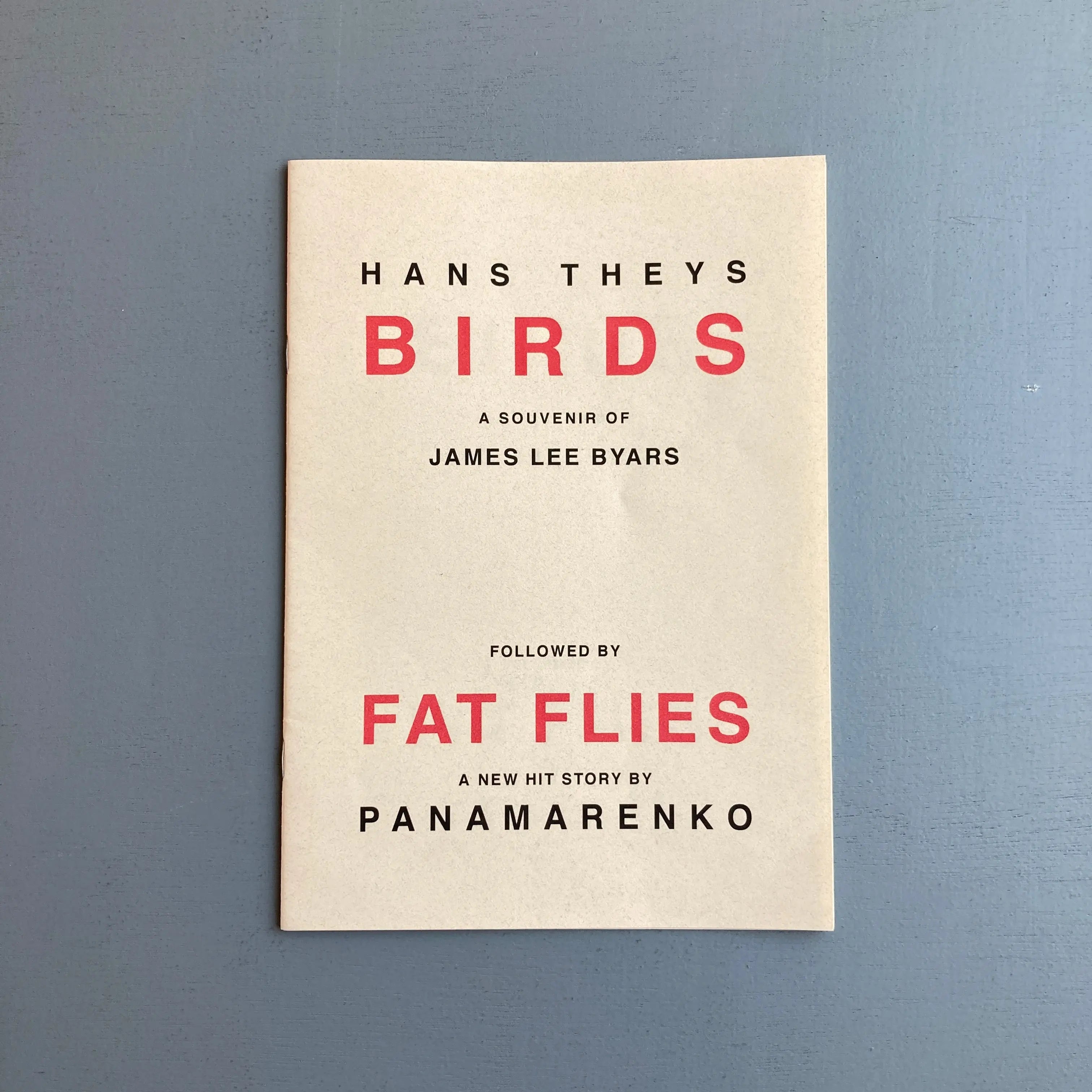 Hans Theys/ Panamarenko - Birds a souvenir of James - Saint-Martin Bookshop