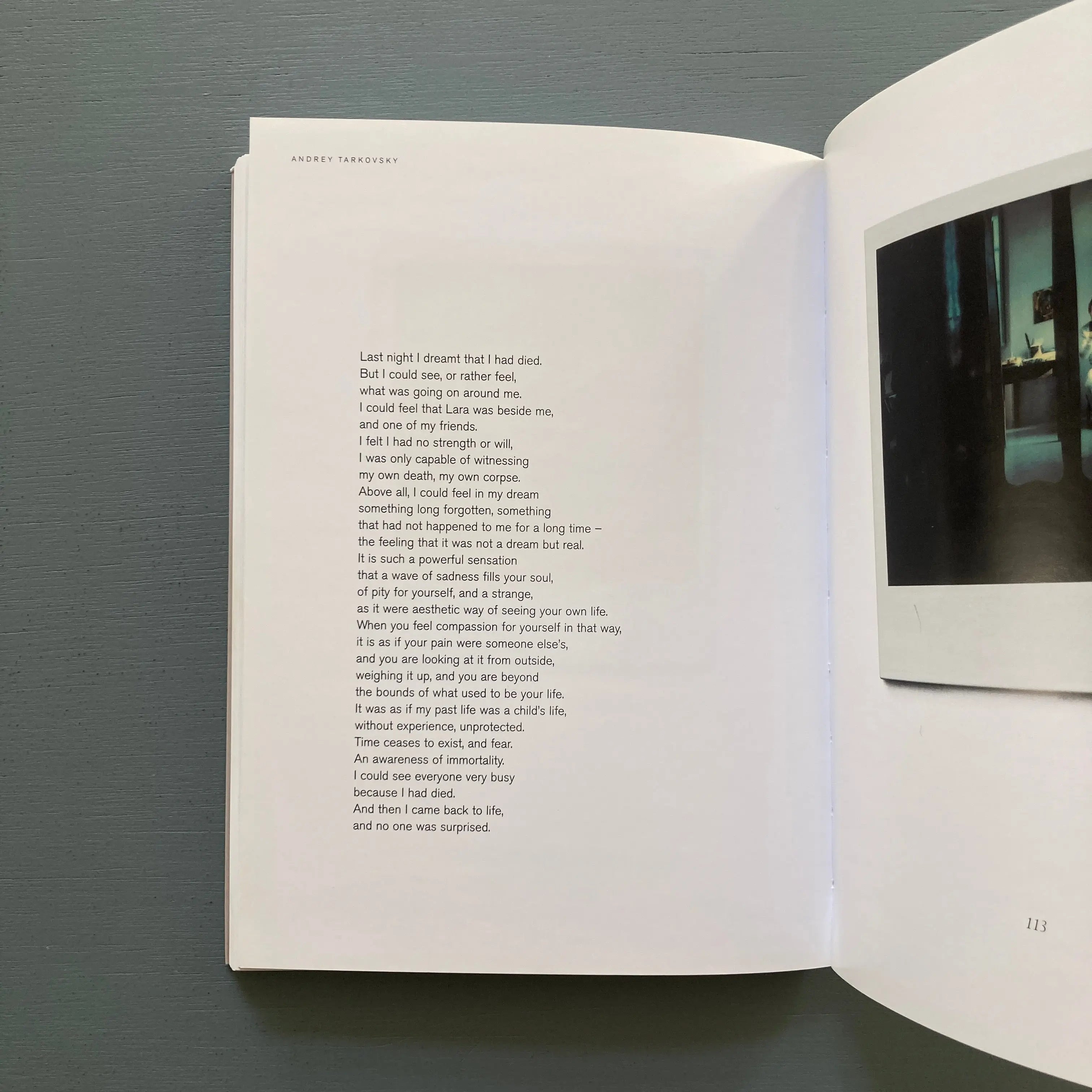 Instant Light - Tarkovsky Polaroids - Thames and Hudson - 2009 - Saint ...