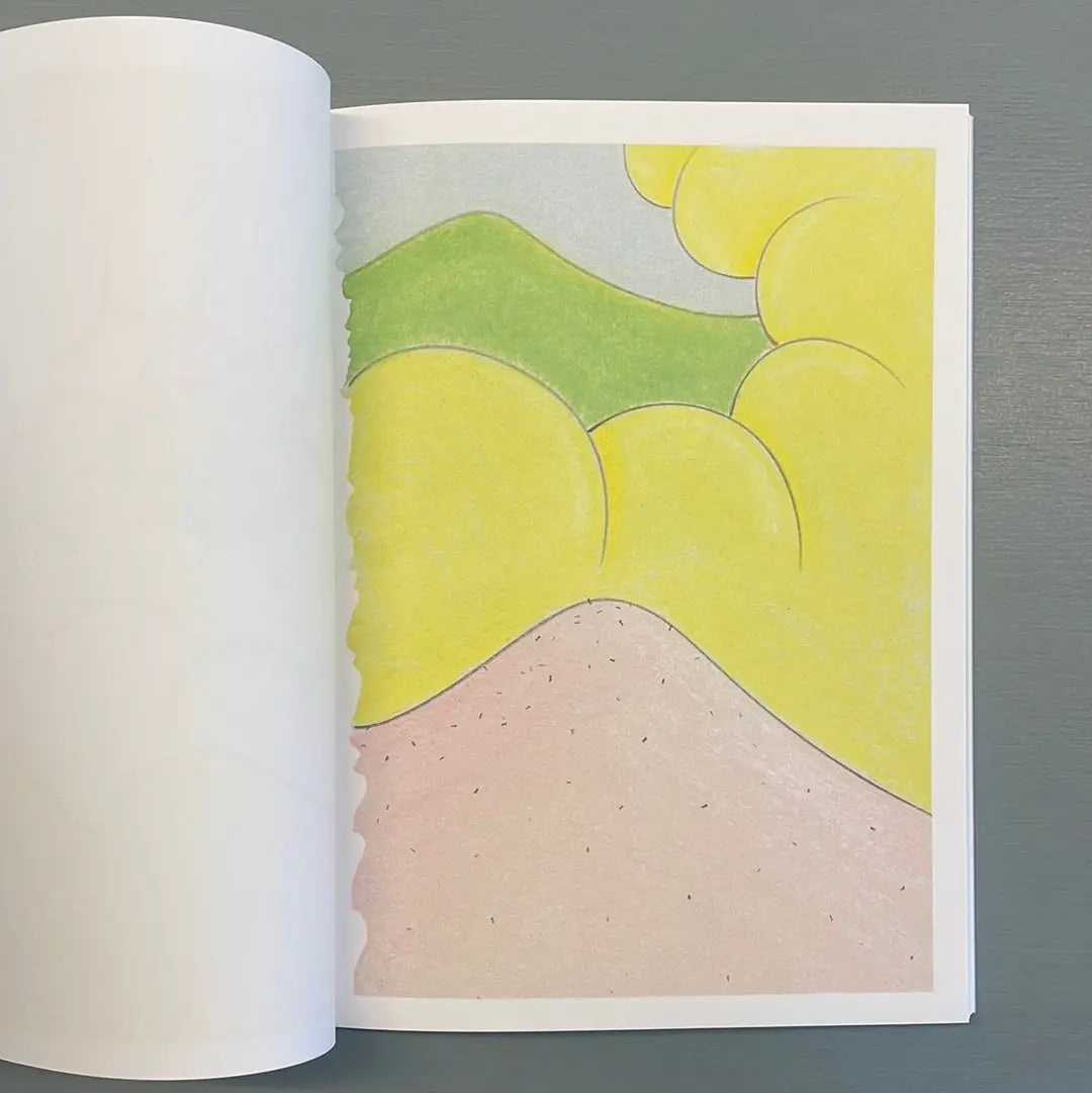 Julien Meert - Météorismes - Sorry we're closed / Triangle books 2023 ...