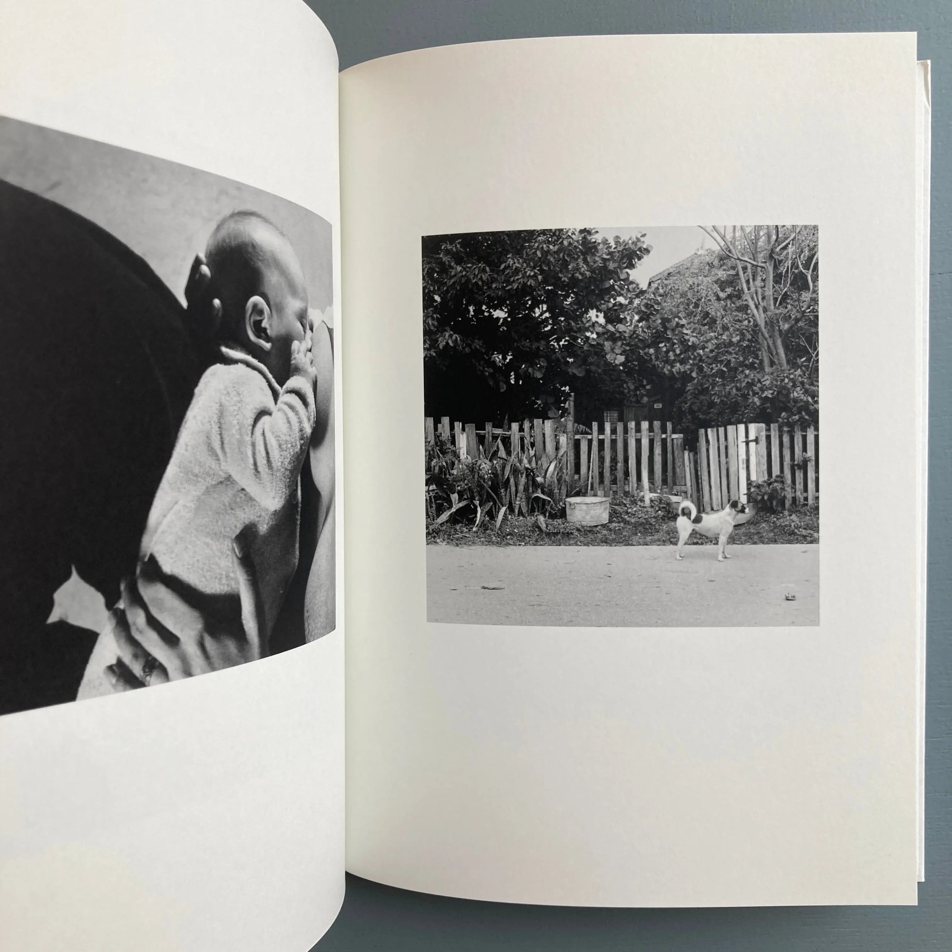 Moyra Davey & Peter Hujar - The Shabbiness of Beauty - MACK 2021 ...