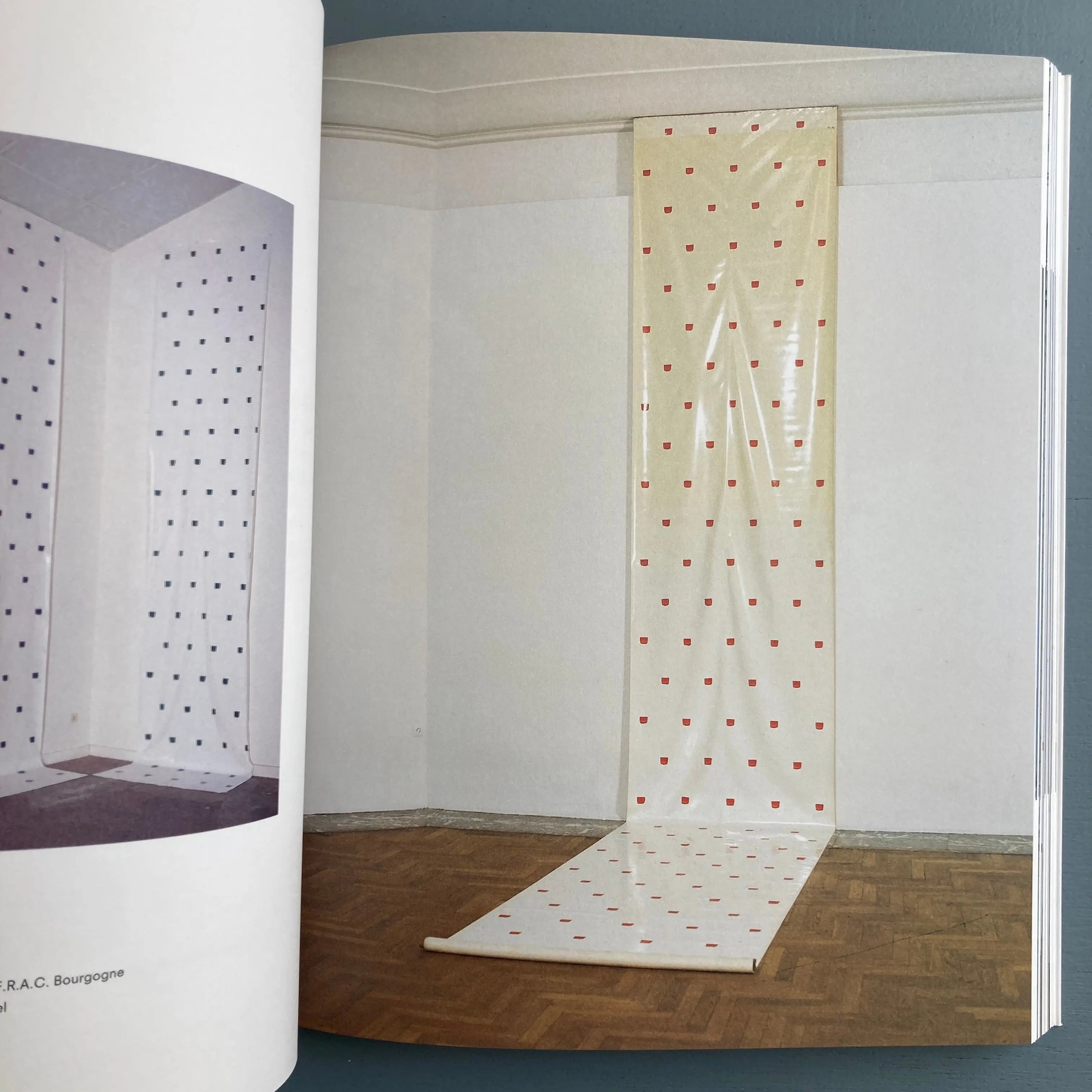 Niele Toroni - Exhibition catalogue - Museum Kurhaus Kleve 2002 - Saint ...