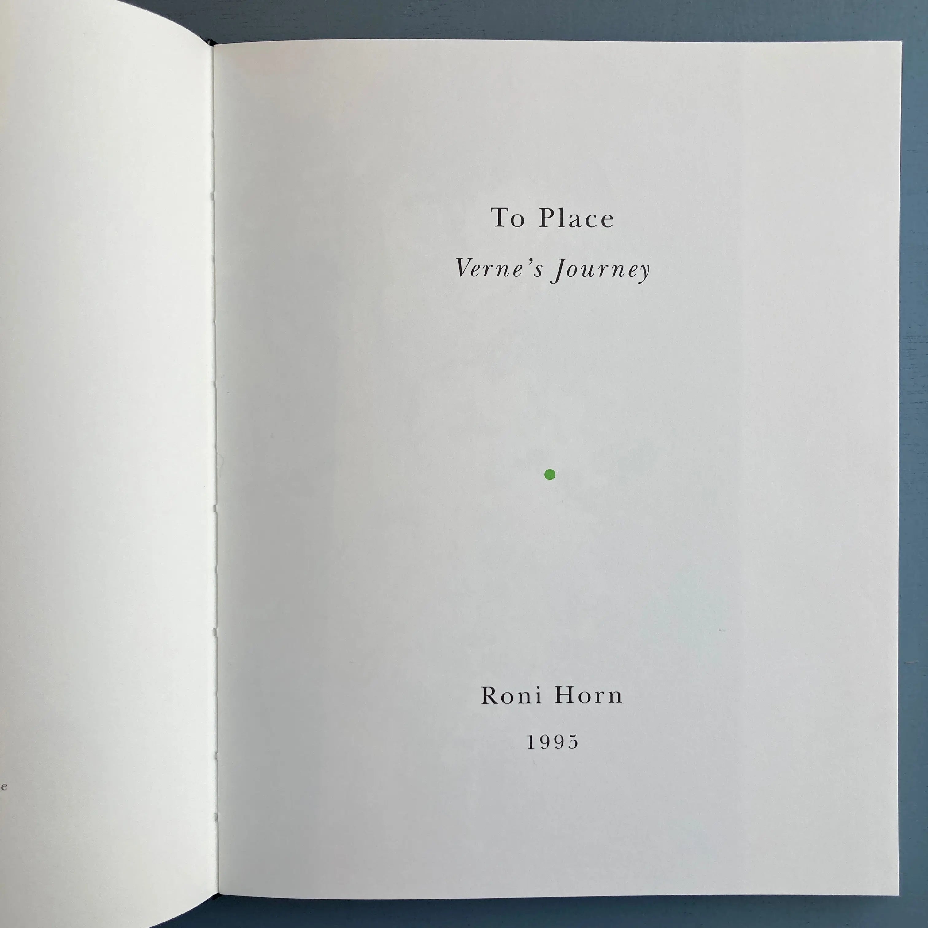 Roni Horn - To Place V : Verne's Journey* - Walther König 1995 - Saint ...