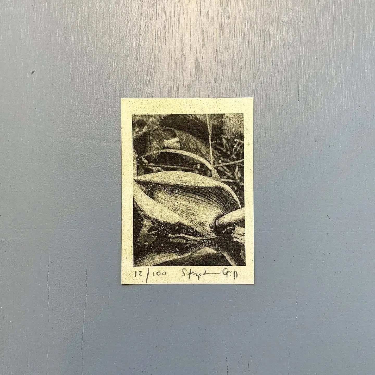 Stephen Gill - The "Observer’s Book of Pond Life" - Saint-Martin Bookshop