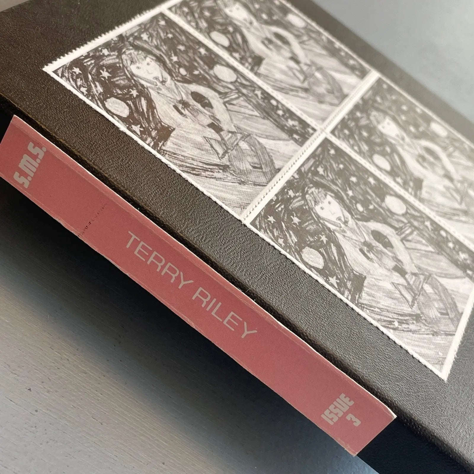 Terry Riley - Poppy Nogoods All Night Flight (The - Saint-Martin Bookshop